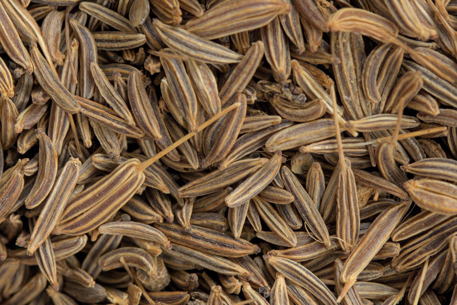 Fernweh auf dem Balkon – neonfoto